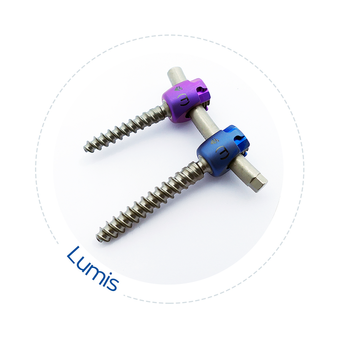 Flex+2 - SpineVision