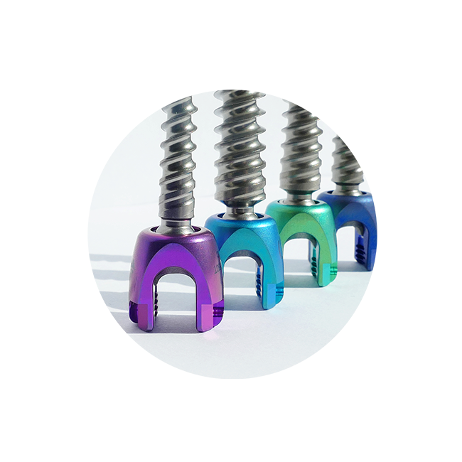 Our solutions - SpineVision