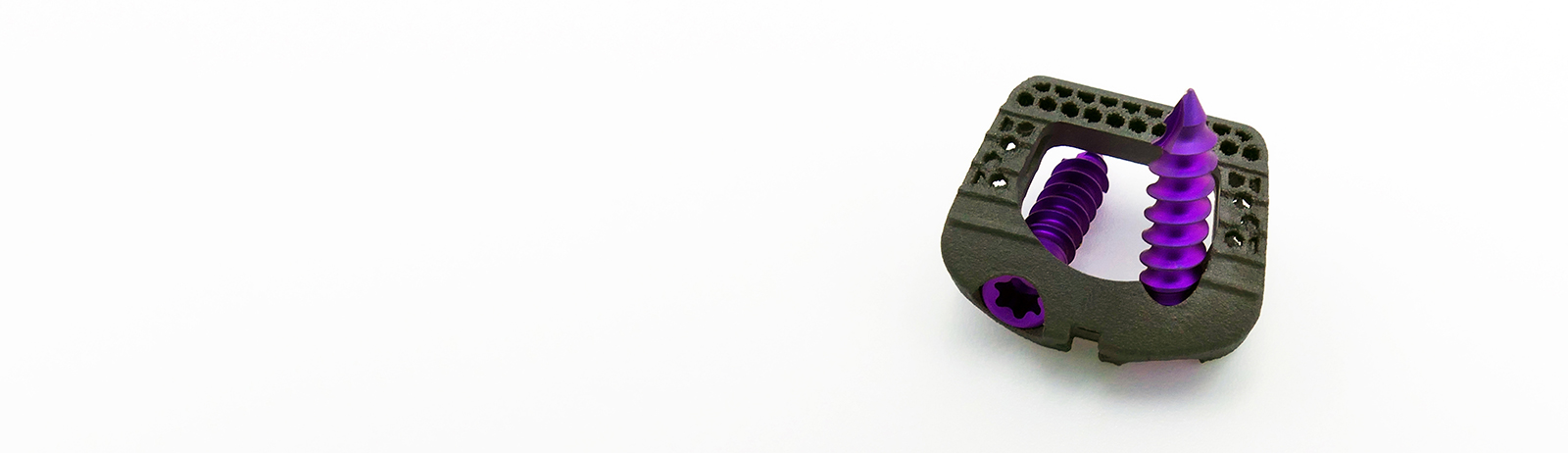 Hexanium ACIF - SpineVision