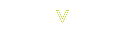 The Company - SpineVision